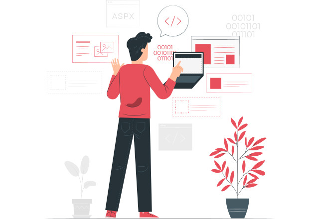 BACK-END DEVELOPER — Alpa Teknoloji